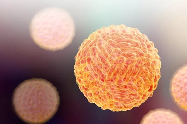 Understanding Dengue Fever: Symptoms, Treatment, and Prevention ...